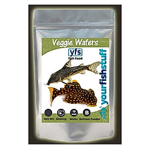 Spirulina Veggie Algae Wafers Pleco Catfish Tropical Bulk Fish Food ONE LB - Bottom Feeders