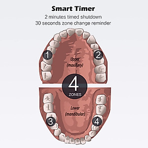 BeastRose Ultrasonic Electric Toothbrushes 5 Modes 5 Brush Heads USB Fast Charge Powered Toothbrush for Adults & Kids (Green)