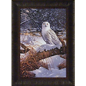 Home Cabin Décor Raptor in White by Jerry Gadamus 18x25 Snowy Owl Winter Snow Framed Art Print Picture
