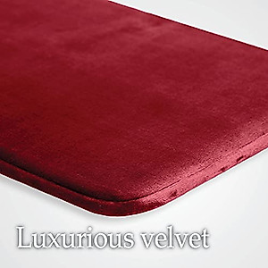 lalaLOOM Thick Memory Foam Bath Rugs, Soft Velvet is Absorbent, Bathroom Mats, Durable Dots on Underside, Machine Washable Bathmat, Carpet Rug, Plush Room Décor for Shower Floor, 24x17, Wine