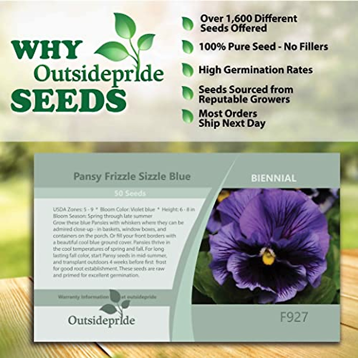 Outsidepride Viola Pansy Frizzle Sizzle Blue Indoor House Plant Or Outdoor Garden Flower for Beds, Borders Pots, & Containers - 50 Seeds