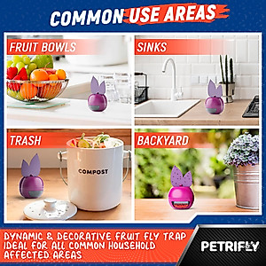 UV Fruit Fly Traps For Indoors + Sticky Traps 2pk- Fruit Fly Traps Indoor For Home - Fruit Fly Trap & Gnat Traps For House Indoor - Gnats And Fruit Fly Killer Indoor - Gnat Catcher,Gnat Trap,Nat Traps