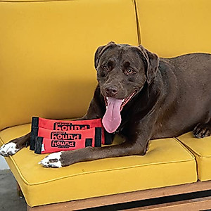 Outward Hound FireHose Fetch Dog Toy, Small