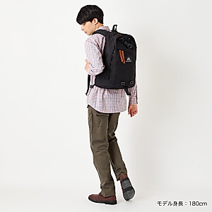 Gregory (Day Pack) official Black Backpack [Japan import]