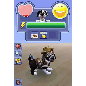 The Sims 2: Apartment Pets - Nintendo DS (Renewed)