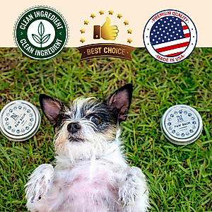 Naturallow Tallow Unscented Paw Balm, 2oz Tin - 100% Organic All Natural and Lick-Safe - Protects from Cracks & Wounds, Food Grade Ingredients
