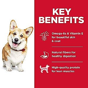 Hill's Science Diet Dry Dog Food, Adult, Small Bites, Chicken & Barley Recipe, 15 lb. Bag