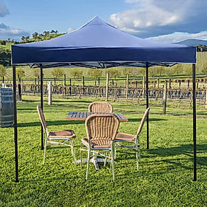 10x10 FT Pop up Canopy Tent, Outdoor Commercial Folding Canopy Tents Big Party Tent with Wheeled Carry Bag, 4 Weight Sand Bag, Stakes and Ropes, for Flea Market Garden Backyard, BLUE