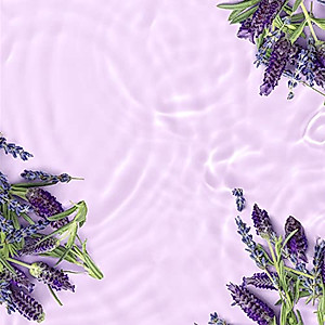 Love Beauty and Planet Smooth and Serene Argan Oil Shampoo For Frizz Control Argan Oil & Lavender Sulfate Free 13.5 oz