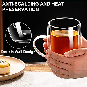 Baalaka Double Wall Glass Tea Cup With Stainless Steel Infuser and Lid, 16oz Borosilicate Glass Tea Mug, Tea Infuser for Loose Leaf Tea, Tea Gifts for Tea Lovers