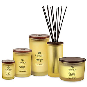 Chesapeake Bay Candle Scented Candle, Strength + Energy (Pineapple Coconut), Medium, Home Décor & PT41689 Candle, Medium Jar, Dream & Inspire, Home Décor