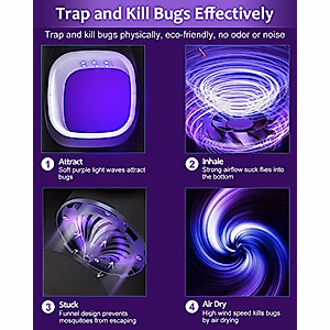 Bug Zapper Indoor, GILAYGROW Insect Trap, Fly Trap, Fruit Flies Trap, Electric Mosquito Killer Trap, Mosquito Zapper, Quiet Mosquito Lamp for Living Room, Office, Kitchen, Bedroom(Black)
