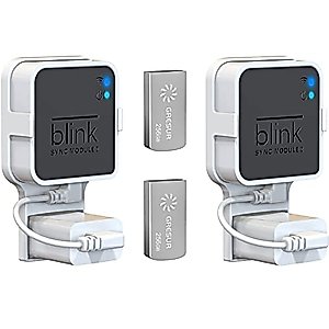 256GB Blink USB Flash Drive for Local Video Storage with The Blink Sync Module 2 Mount (Blink Add-On Sync Module 2 is NOT Included),2Pack