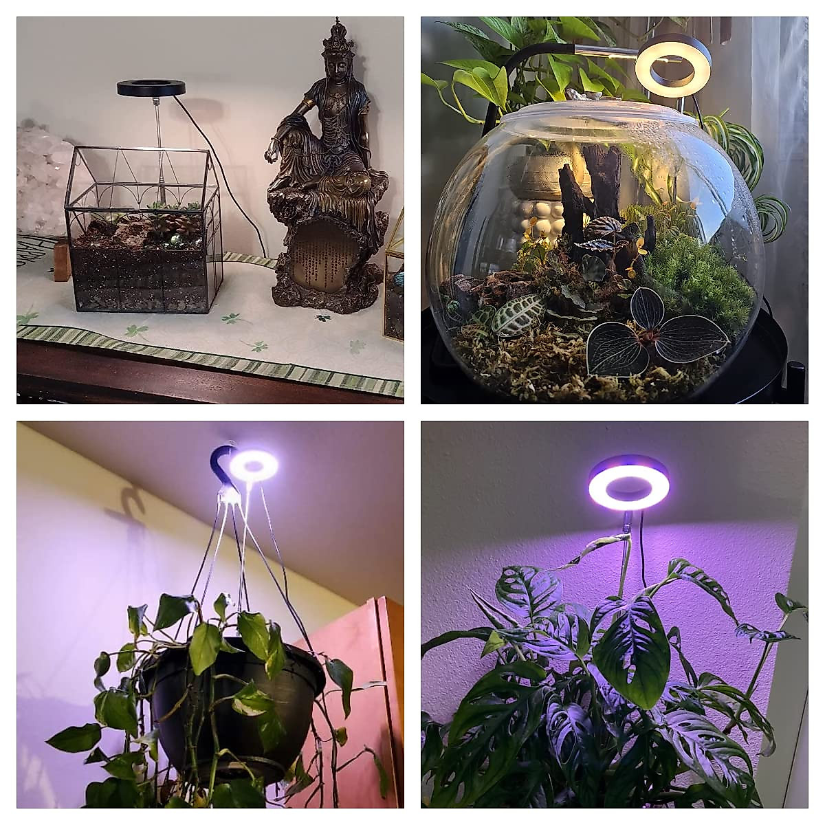 Wiaxulay Grow Lights for Indoor Plants, 48 LED Full Spectrum Plant Light for Indoor Plants, Height Adjustable Plant Grow Light with Base, 10 Brightness, 3/9/12Hrs Timer, Ideal for Small Plants,2 Packs