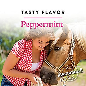 Manna Pro Bite-Size Nuggets for Horses - Pocket Sized Training Horse Treats - Peppermint Flavored Treats - Packs with Vitamins & Minerals- Great Taste Guaranteed - 4lbs