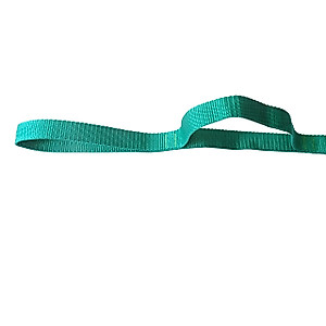 Physical Therapy Stretch Strap by Morning Sky - 10-Loop 73-inch Rehab Strap with Instructional Guide for Rehab, Stretching, Yoga.
