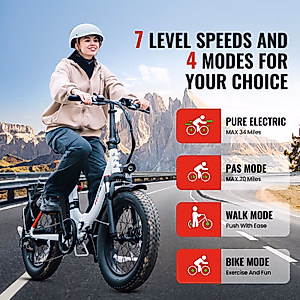 Hipeak Elias Ebike Folding Electric Bike for Adults 750W Speeds Up to 25MPH Large 48V 15Ah Removable Battery 20" x 4.0"Fat Tire Electric Bicycle with Front Dual Suspension,UL2849 Certified