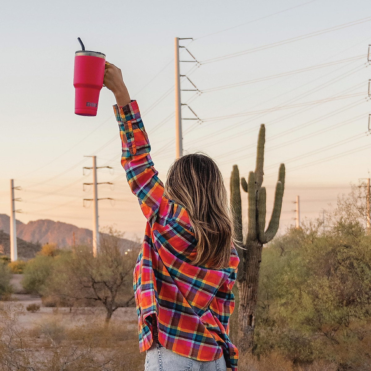 BOB THE COOLER CO 30Oz Heavy Duty Double Wall Vacuum Insulated Tumbler with Straw and Handle, Made of Stainless Steel, Great for Travel, Beach, & More