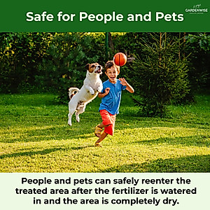 10-10-10 Plant Fertilizer Slow Release – 10 10 10 All Purpose Granular Garden Fertilizer for Fruit Trees, Evergreens, Vegetables, Arborvitae, Fig Trees, Shrubs, Pines, Oaks, Flowers (1/2 Quart)