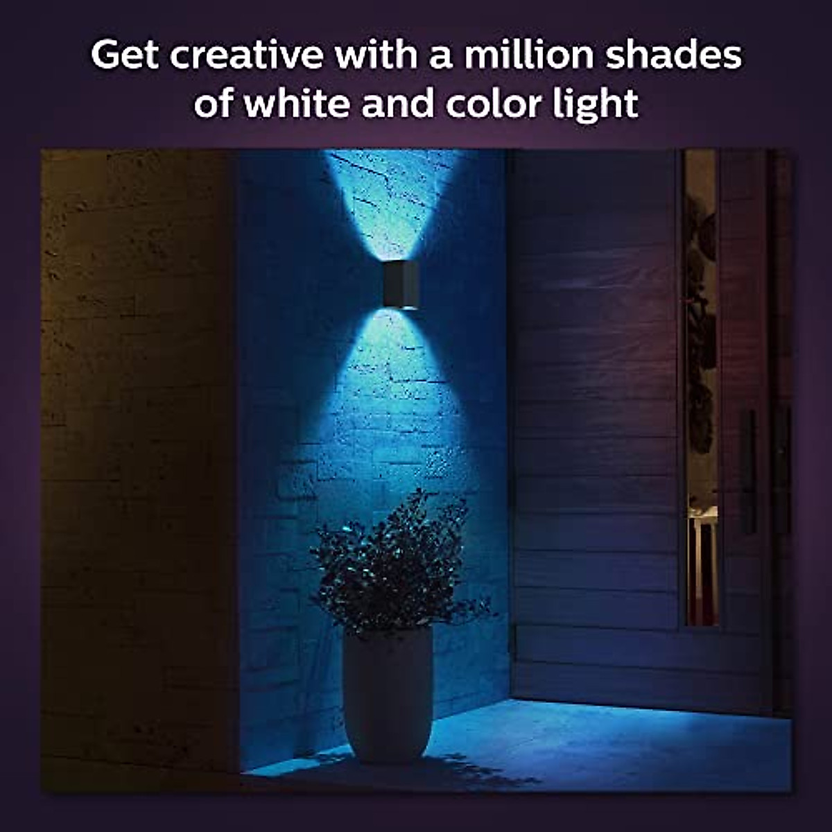 Philips Hue White & Color Resonate Outdoor Wall Light, Use with Alexa, Homekit & Google Assistant (Hue Hub Required)