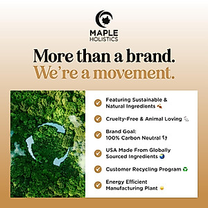 Vanilla Sensual Massage Oil for Couples - Irresistible Full Body Massage Oil for Date Night with Smooth Gliding Coconut and Sweet Almond Oil with Dreamy Vanilla Scent - Non GMO Gluten Free and Vegan