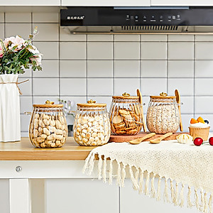 Pinkunn Set of 4 Glass Stripe Jar Glass with Bamboo Spoons 20 Fl oz Overnight Oats Containers with Lids Coffee Sugar Container Set for Kitchen Food Storage Coffee Tea Sugar