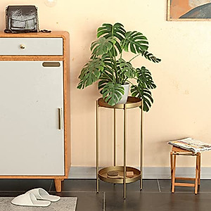 OVICAR Plant Stand Indoor Outdoor - Flower Pot Holder Metal Plant Rack Organizer, 2 Tiers Tall Plant Display Storage Shelf Table For Home Garden Patio Bathroom Office Living Room Balcony Corner (gold)