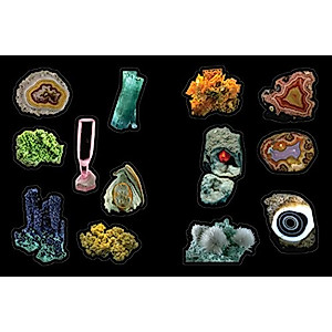 Cabinet of Curiosities: Over 1,000 Curated Stickers from the Fascinating Collections of the Smithsonian