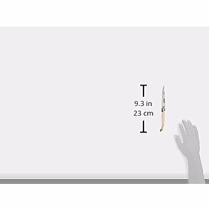 Jean Dubost Laguiole 6 Steak Knives Set, Acrylic Black