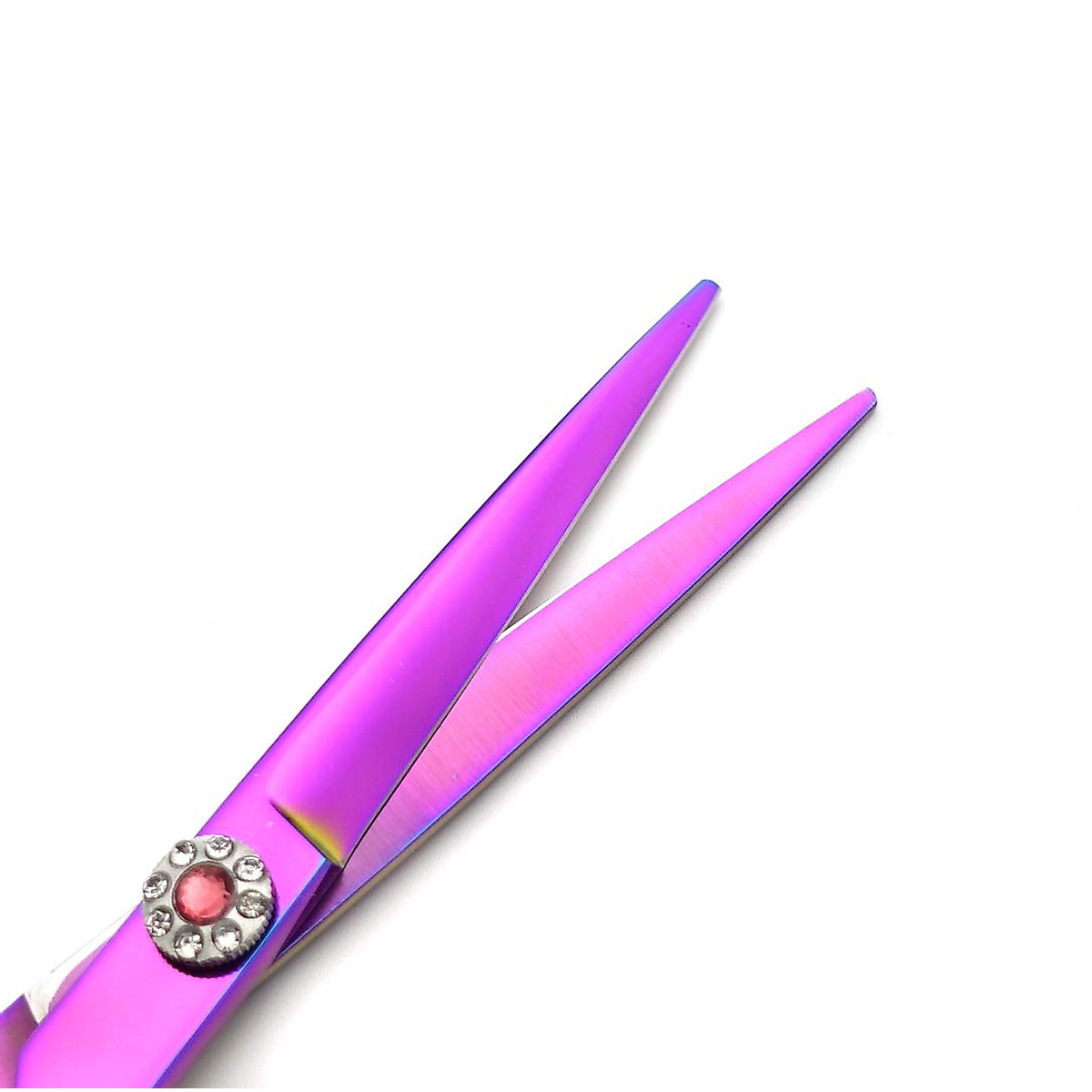 Professional Hair Cutting Scissors Set with Razor Comb Case,Hair cutting shears Hair Thinning shears with rose handle (6.0 inches)