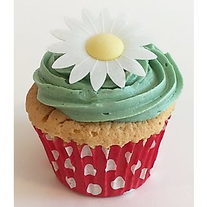 100 Beautiful 3d Edible Flower Cake Decorations: White Daisies