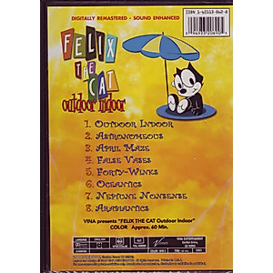Felix the Cat: Outdoor Indoor