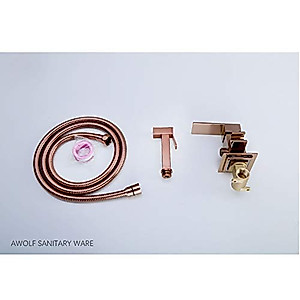MINJING Bidet Sprayer for Toilet, Brass Handheld Bidet Toilet Sprayer, Hot and Cold Water Bidet Tap, Single Handle Wall Mount Bidet Mixer Faucet Rose Gold