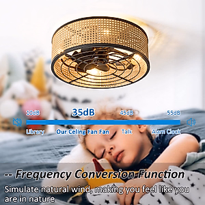 zheshirui Rattan Boho Ceiling Fan with Light Flush Mount, 20 Inch Caged Ceiling Fans with Light and Remote Control, Low Profile Enclosed 6 Speeds for Bedroom Kitchen Living Room