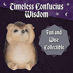 Nemesis Now Three Wise See No Evil Hear No Evil Speak No Evil Figurines, Adorable Hand-Painted Resin Collectibles and Gift - Hedgehogs