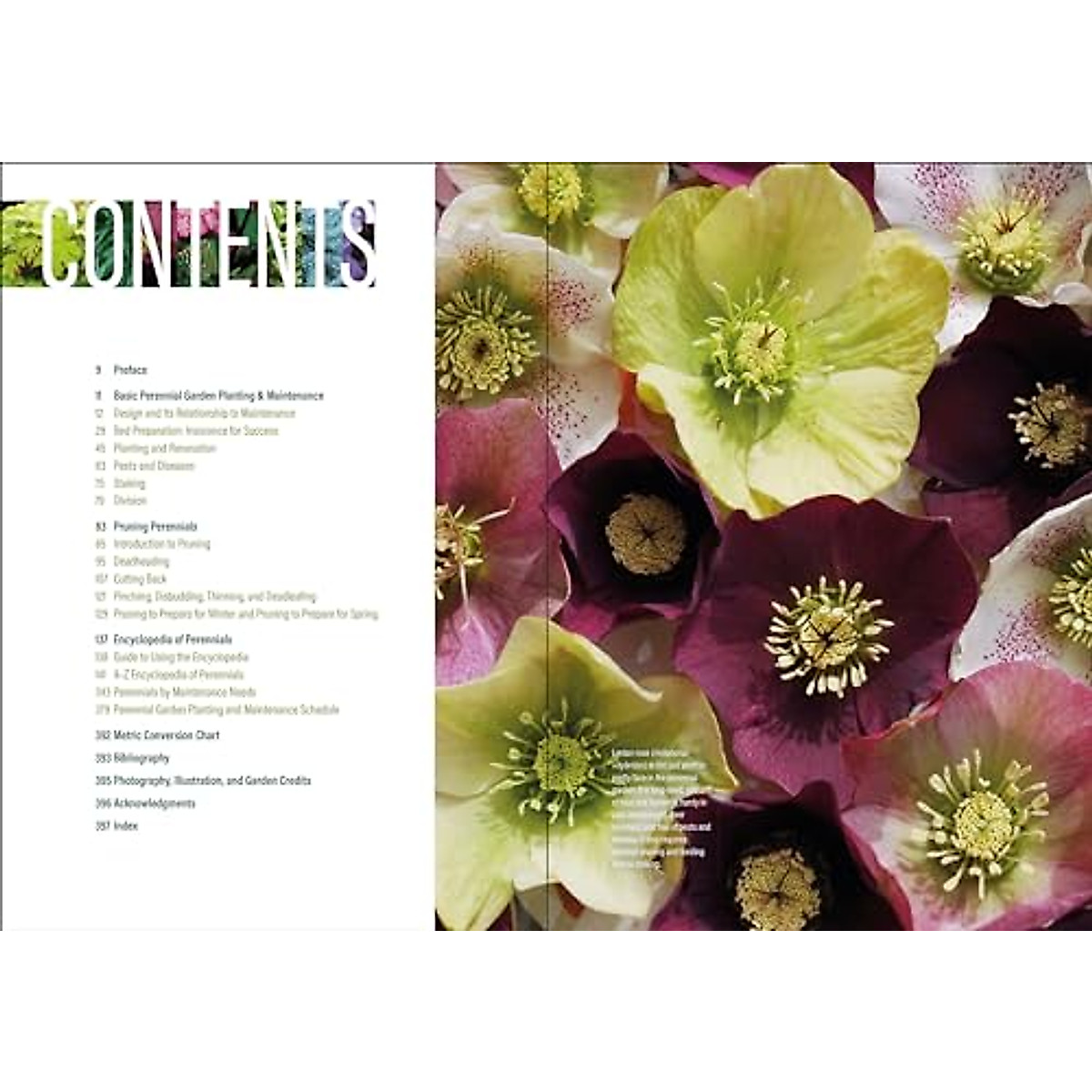 The Well-Tended Perennial Garden: The Essential Guide to Planting and Pruning Techniques, Third Edition