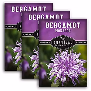 Survival Garden Seeds - Bergamot Herb (Bee Balm) Seed for Planting - 3 Packs with Instructions to Plant and Grow Lavender Monarda Wildflowers in Your Home Vegetable Garden - Non-GMO Heirloom Variety