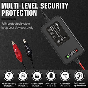 ULTRAPOWER 4-Amp 14.6 Volt LiFePO4 Battery Charger,12.8 Volt LiPO Lithium Battery Charger,Smart Battery Charger Maintainer for Cars,Motocycles,Golf Carts,UAV,Fishing Boat and Deep Cycle Batteries.