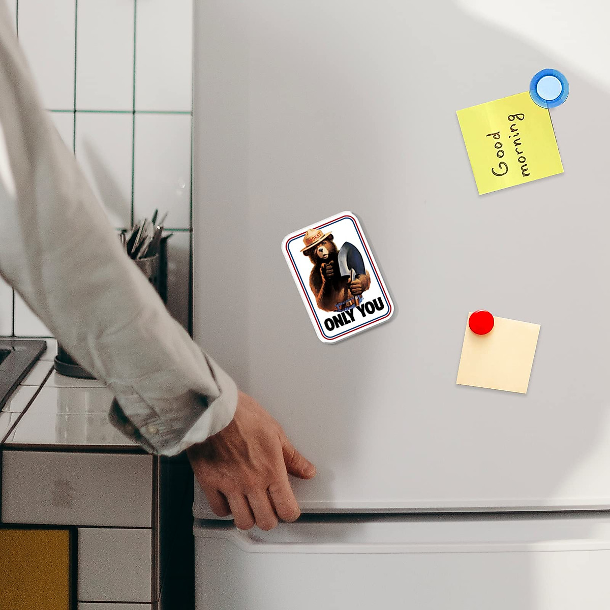 Desperate Enterprises Smokey Only You Refrigerator Magnet - Funny Magnets for Office, Home & School - Made in The USA