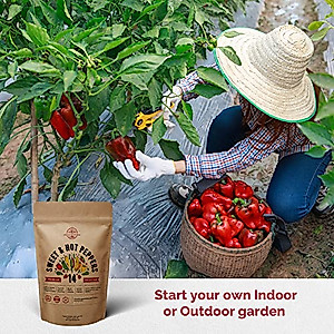 14 Sweet & Hot Peppers Seeds Variety Pack 700 Seeds Non-GMO Peppers Seeds for Planting Outdoor & Indoor Home Gardening Anaheim Jalapeno Habanero Cayenne Serrano Poblano Cubanelle Pepperoncini & More