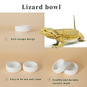 Reptile Food Bowls Ceramic Round Reptile Water Food Dish, Pet Food Bowl for Lizards, Small Snakes, Young Bearded Dragons, Gecko Tortoise Spider (White, Medium-2Pack)