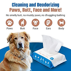 PUMBLER Pet Wipes for Dogs 100Pcs/1Pack – Unscented Dog Wipes with Vitamin E, Chamomile – Gentle Cat Wipes Ideal for Muddy Paws, Face, Dog Eye Wipes, Dog Ear Wipes – Resealable Lid Butt Wipes