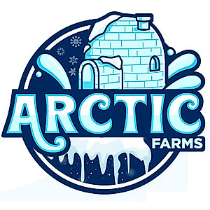 Arctic Farms Freeze Dried Ice Cream Bits Bagged and Boxed - Does Not Melt (Vanilla)