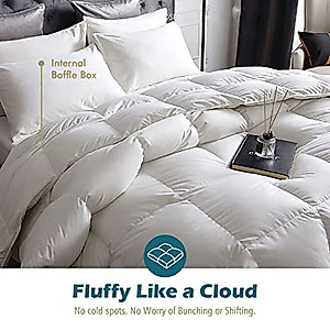 Feather Down Comforter Queen Size, All Seasons Duvet Insert, 100% Egyptian Cotton Fabric, Ultra-Soft Premium 750 Fill Power Feathers/Down Blend Full/Queen Bed Comforter, Ivory White, 90x90