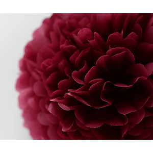 Burgundy Graduation Party Decorations Maroon Party Decorations Tissue Pom Poms Lanterns Honeycomb Balls for Wedding Anniversary Bridal Shower Engagement Bachelorette Party Birthday Party Fall Party