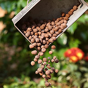 Expanded Clay Pebbles 1 qt, 8mm-14mm Clay Balls for Plants, Organic Plant Grow Media, Porous Stones for Hydroponics, Drainage, Decoration, Aquaponics, and Other Gardening Essentials