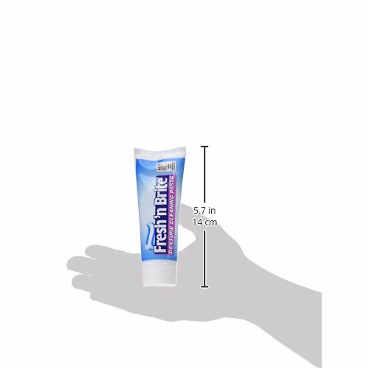 Fresh 'n Brite Denture Cleaning Paste, 3.8 Ounce (Pack of 2)