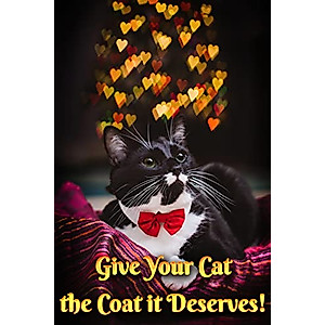 Fluffy Feline Professional Groomer's Choice for Cat Dandruff Care Spray