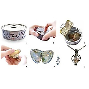 Pearlina Cultured Pearl in Oyster Necklace Set Silver-tone Heart Cage Locket w/Stainless Steel Chain,18"