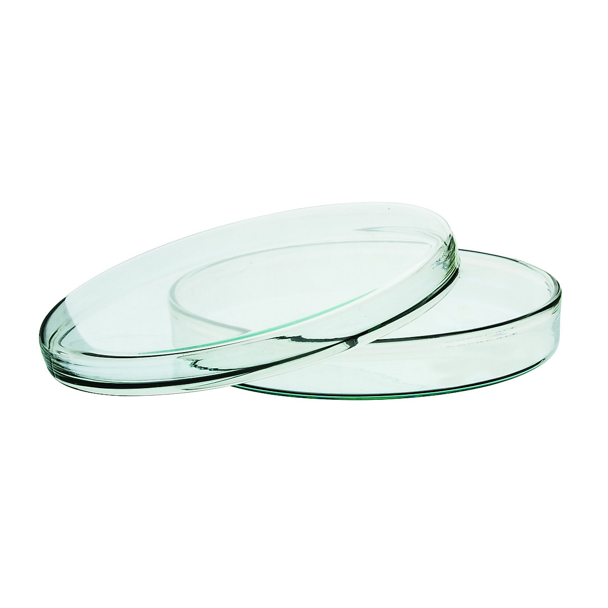 EISCO Petri Dish, 5.9" (150mm) - Beaded Edges Easy to Sterilize for Repeated Use Borosilicate Glass- Eisco Labs